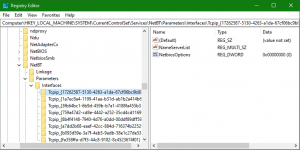 Windows Network Interface Adapter GUID in Registry
