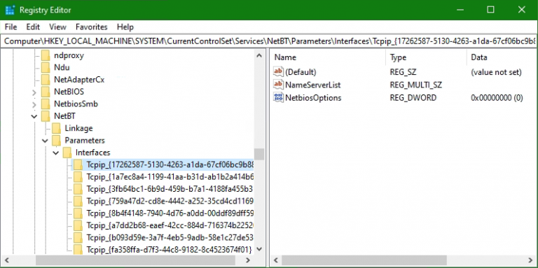 Windows Network Interface Adapter GUID in Registry